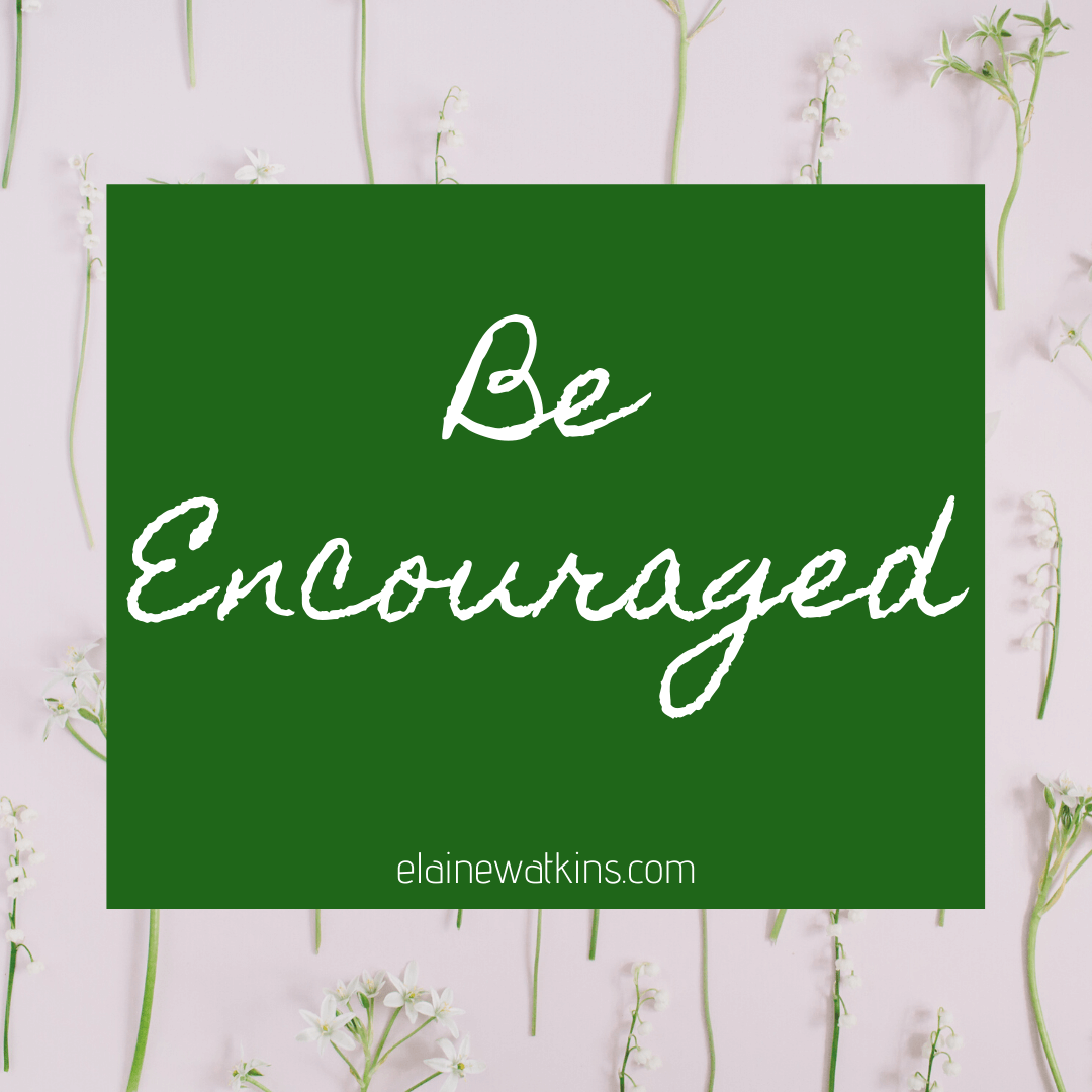 Of Gratitude and Encouragement - Elaine Watkins | Food and Living Coach